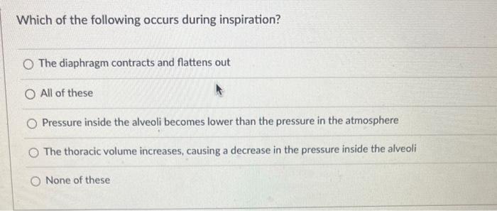 Solved Which of the following occurs during inspiration? The | Chegg.com