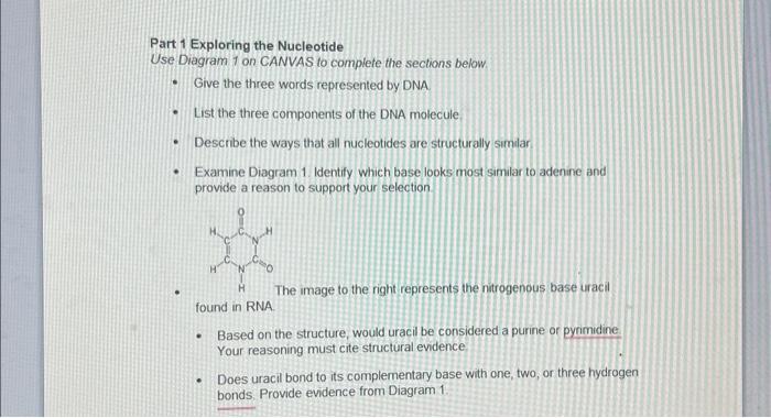 Solved Part 1 Exploring the Nucleotide Use Diagram 1 on | Chegg.com