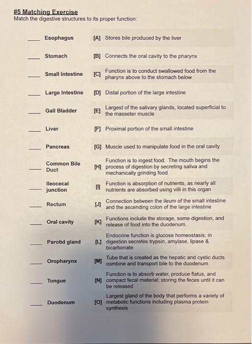 Solved #5 Matching Exercise Match the digestive structures | Chegg.com