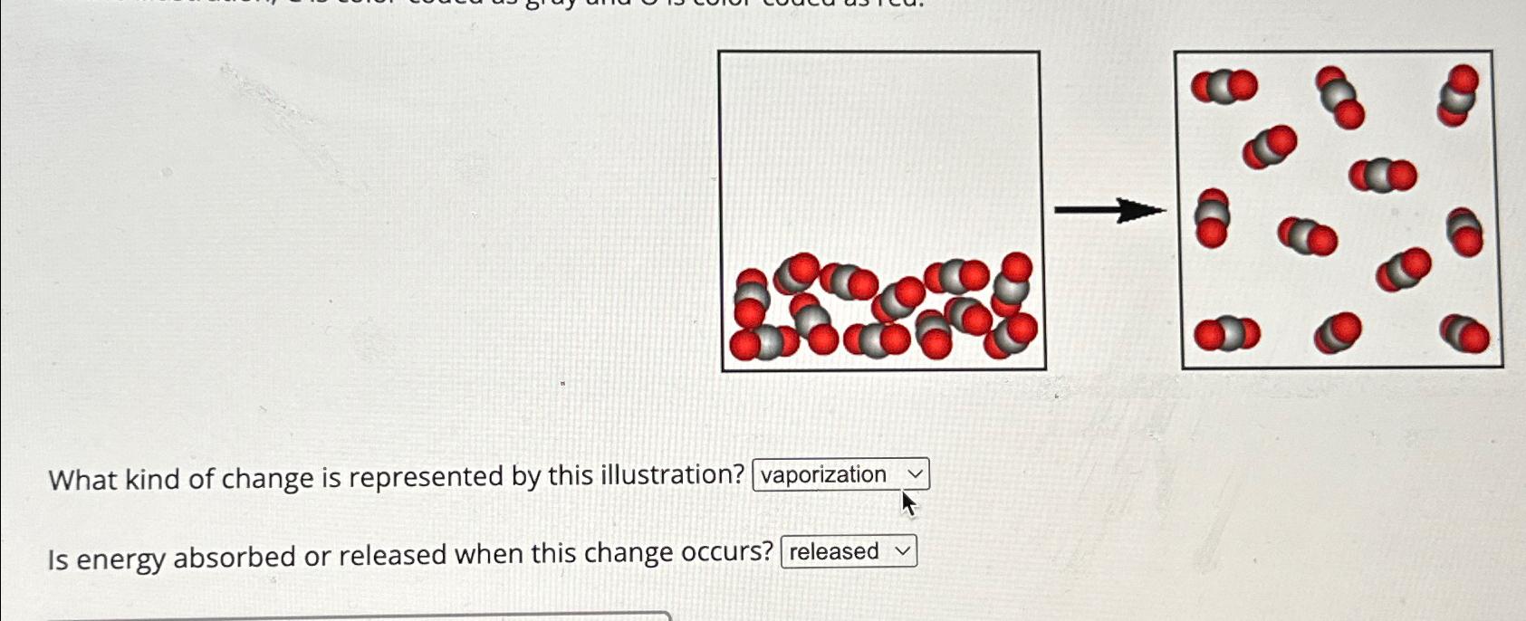 Solved What kind of change is represented by this | Chegg.com
