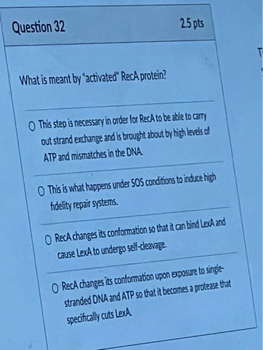 Solved Question 32 2.5pts What is meant by "activated" RecA | Chegg.com