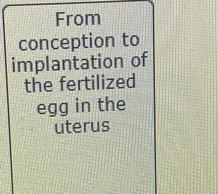 Solved From conception to implantation of the fertilized egg | Chegg.com