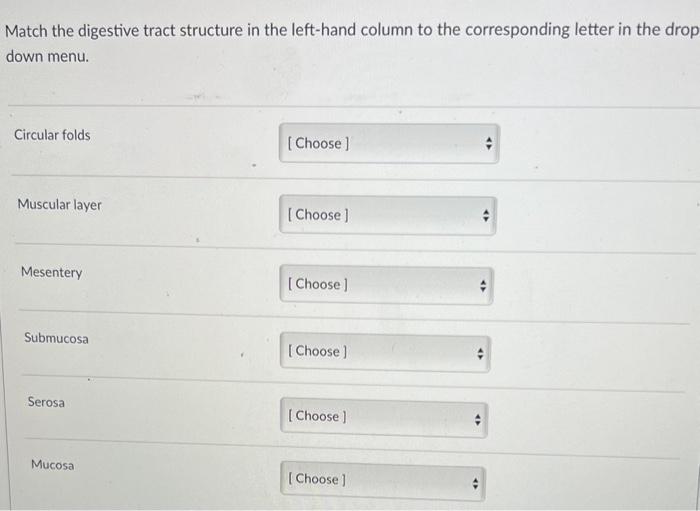 Solved Match the digestive tract structure in the | Chegg.com