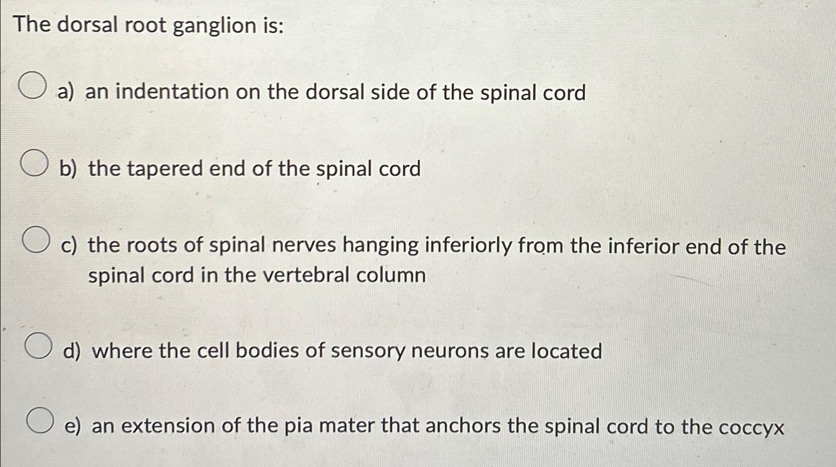 Solved The dorsal root ganglion is:a) ﻿an indentation on the | Chegg.com
