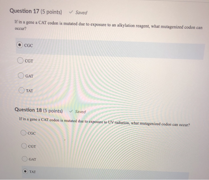 Solved Question 17 (5 points) Saved If in a gene a CAT codon | Chegg.com