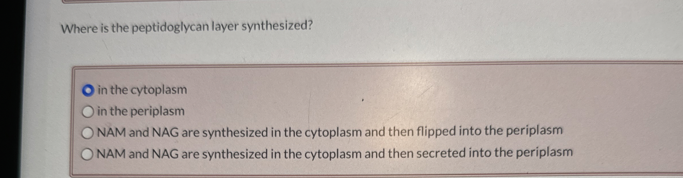 Solved Where is the peptidoglycan layer synthesized?in the | Chegg.com