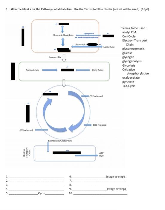 Solved 1. Fill in the blanks for the Pathways of Metabolism. | Chegg.com