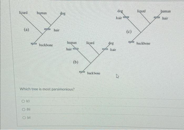 Solved Which tree is most parsimonious? (c) (b) (a) | Chegg.com
