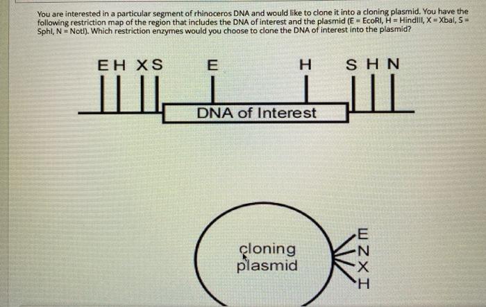 Solved You are interested in a particular segment of | Chegg.com
