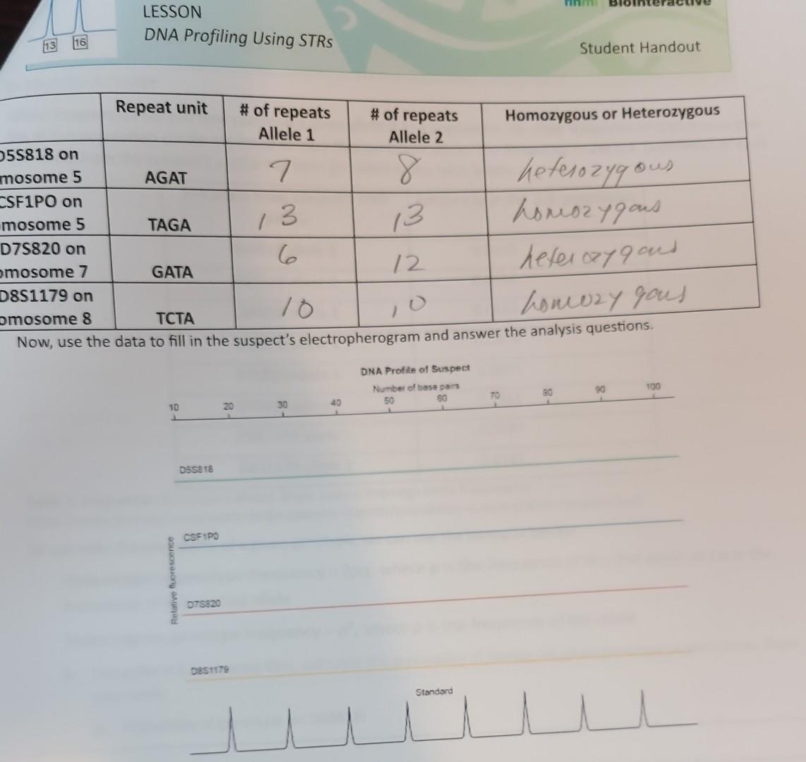 could you draw an electropherogram from the chart | Chegg.com