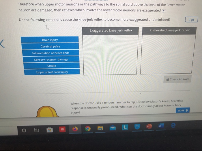 Solved Label if the following conditons cause exaggerated | Chegg.com