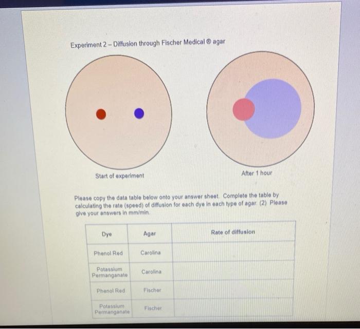 1. Your lab group is investigating diffusion of dye | Chegg.com