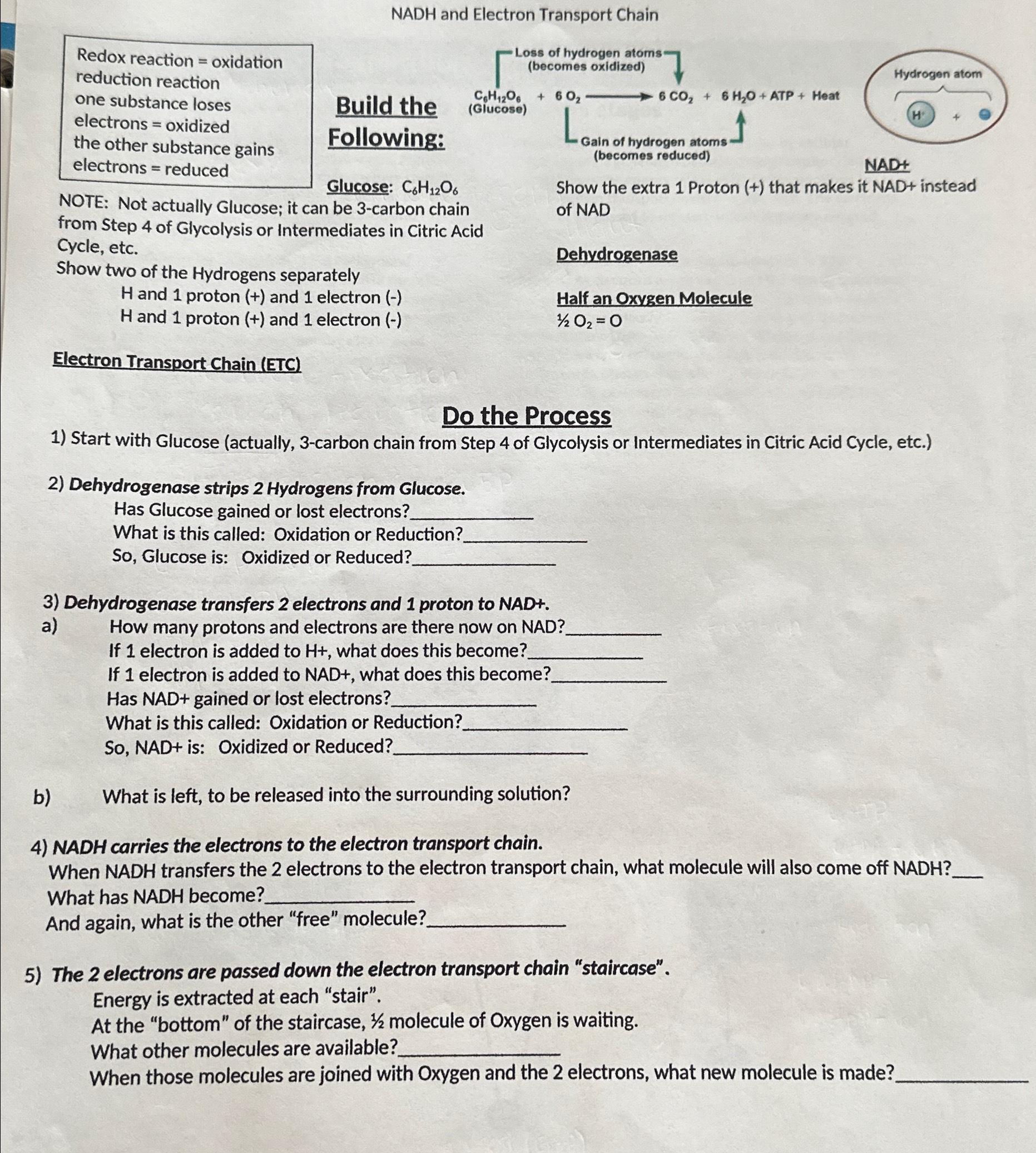 Solved Do the process | Chegg.com