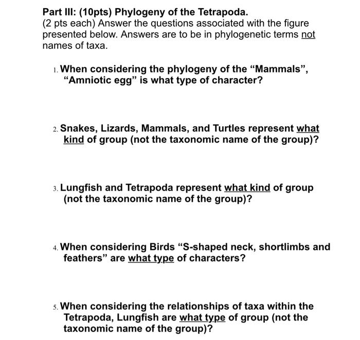 Solved Part III: (10pts) Phylogeny of the Tetrapoda. (2 pts | Chegg.com