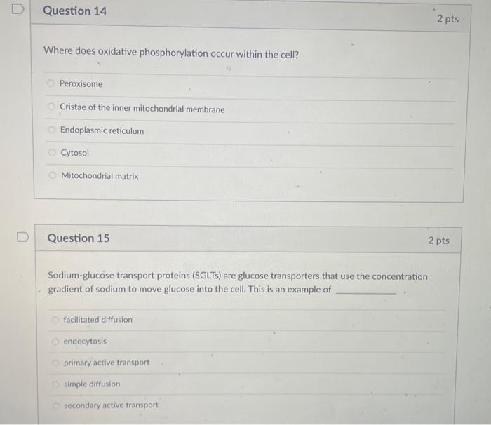 Solved Where Does Oxidative Phosphorylation Occur Within The