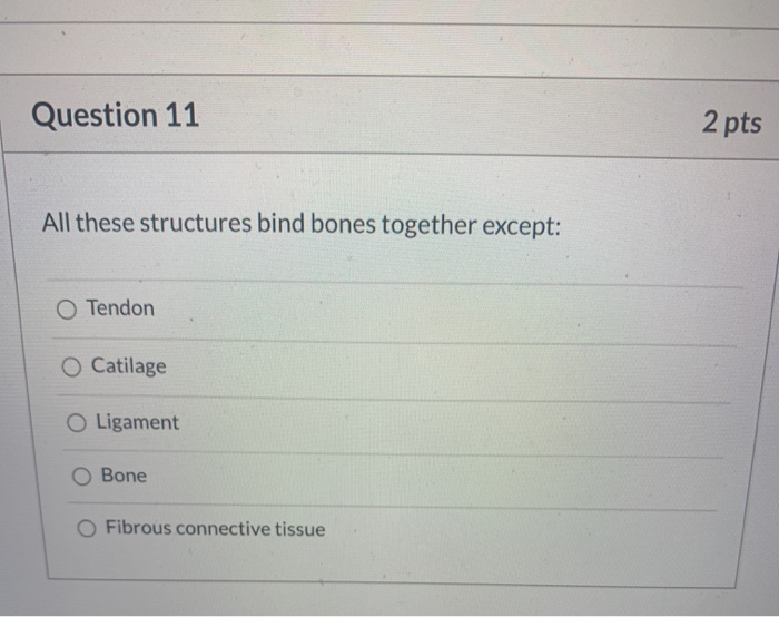 Solved Question 11 2 pts All these structures bind bones | Chegg.com