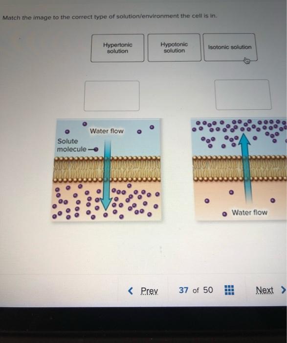 Solved Match the image to the correct type of | Chegg.com