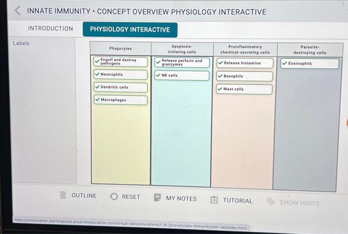Solved INNATE IMMUNITY · CONCEPT OVERVIEW PHYSIOLOGY | Chegg.com Solved INNATE IMMUNITY · CONCEPT OVERVIEW PHYSIOLOGY | Chegg.com