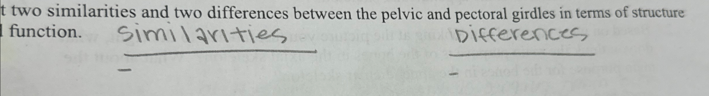 Solved t two similarities and two differences between the | Chegg.com