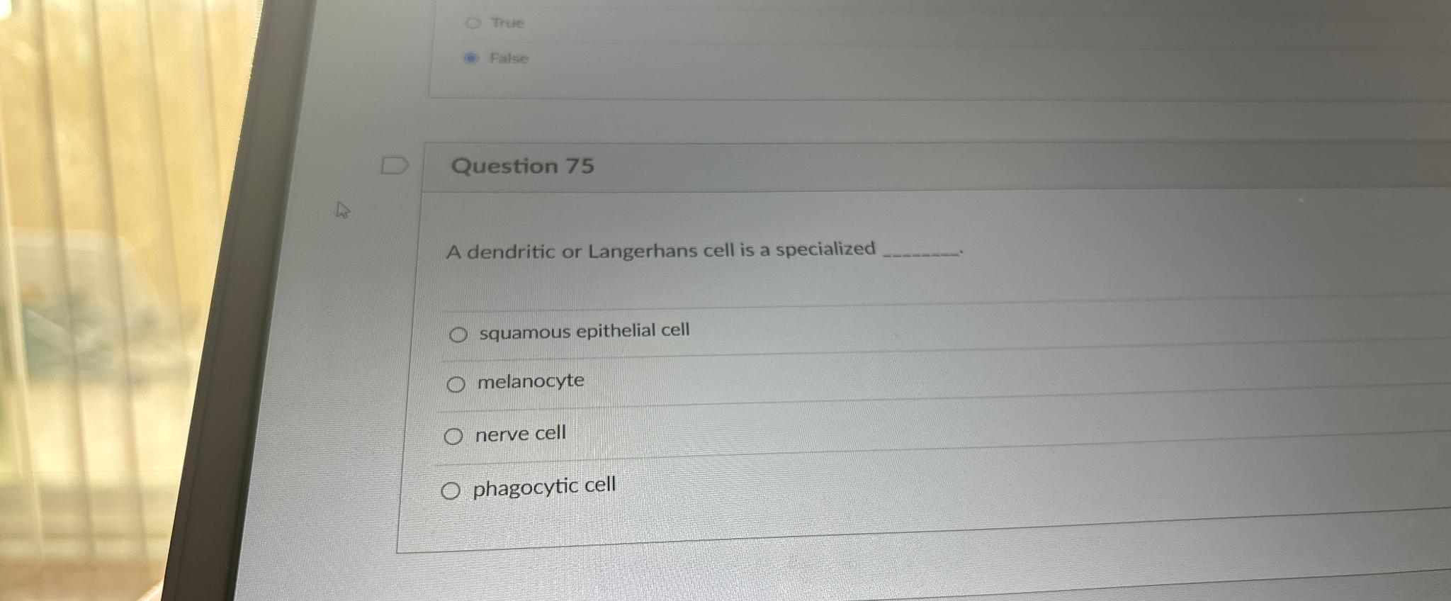Solved Question 75A dendritic or Langerhans cell is a | Chegg.com
