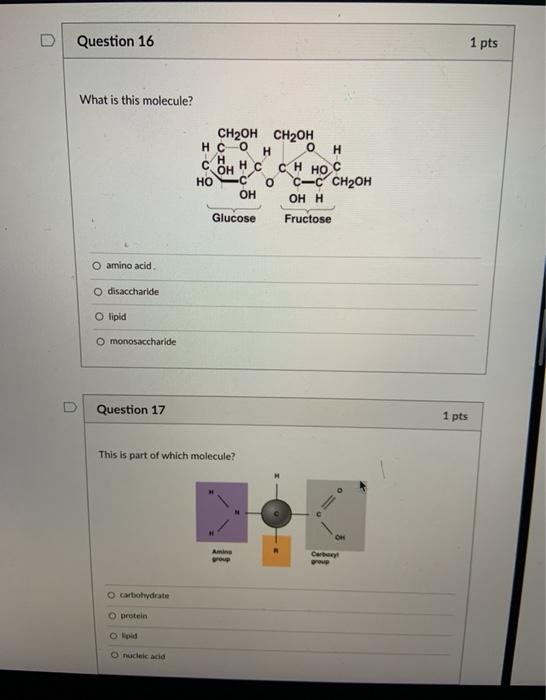 Solved Question 16 1 pts What is this molecule? CH2OH CH20H | Chegg.com