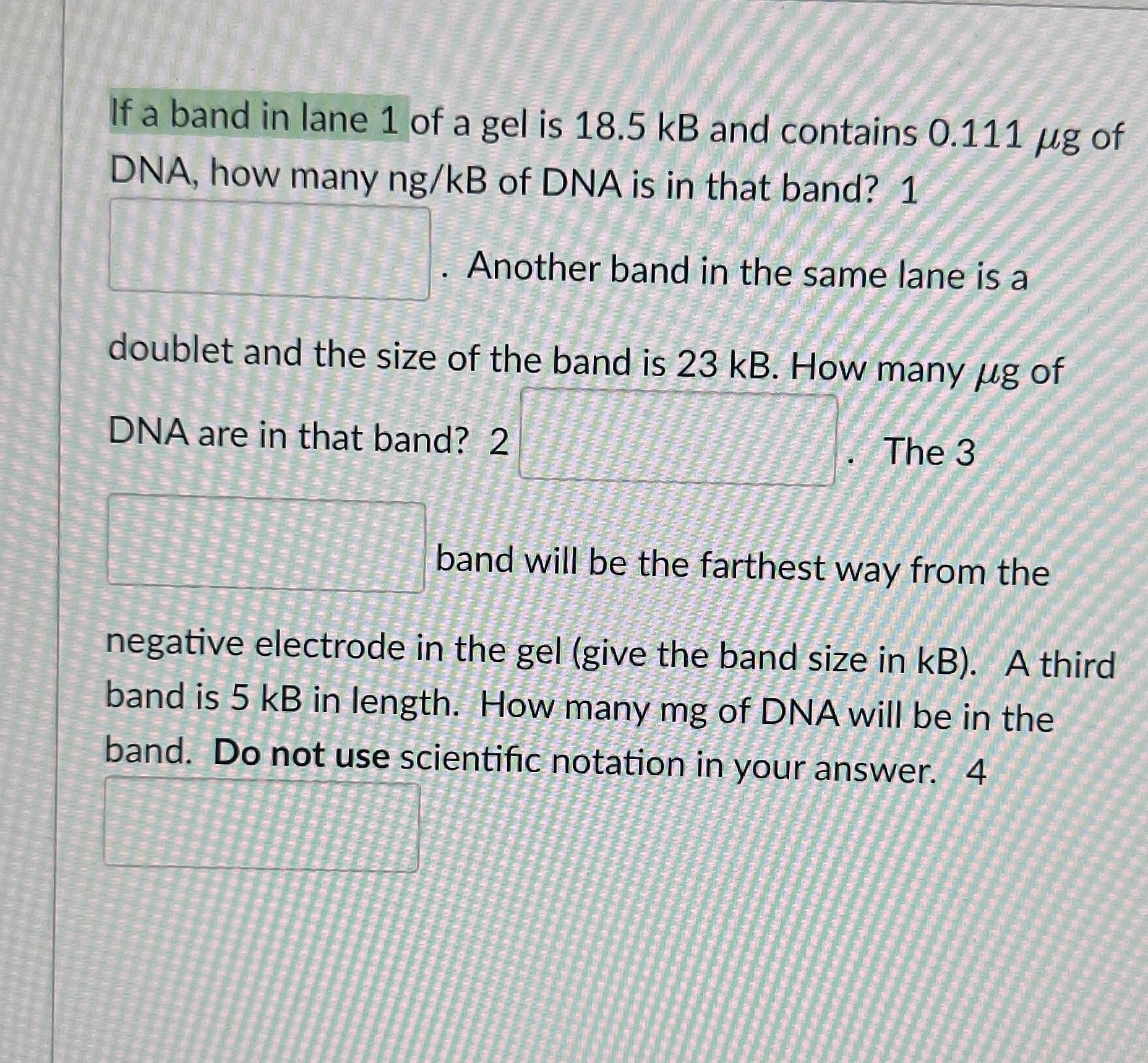 Solved If a band in lane 1 ﻿of a gel is 18.5kB ﻿and contains | Chegg.com