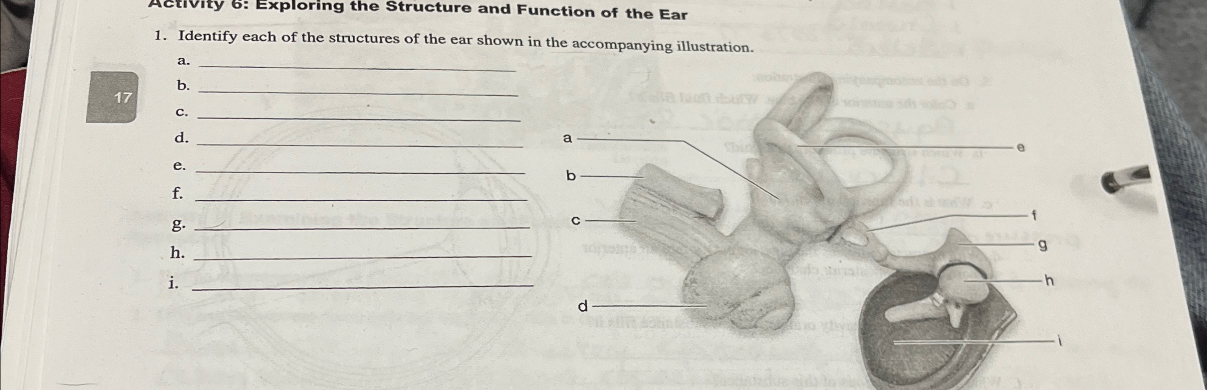 Solved Activity 6: Exploring the Structure and Function of | Chegg.com Solved Activity 6: Exploring the Structure and Function of | Chegg.com