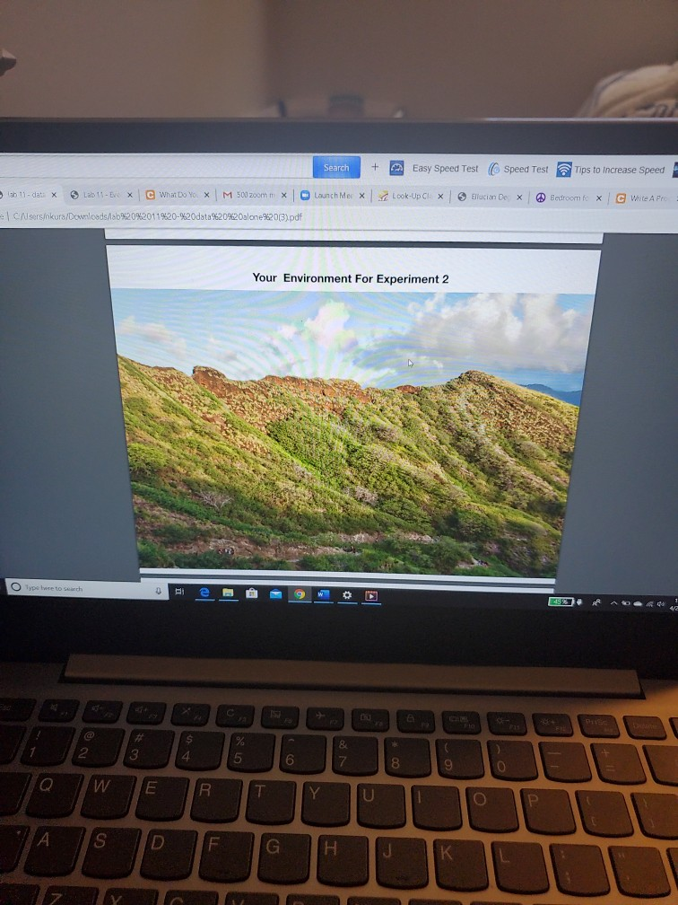 Experiment 2 -Variation in Prey Coloration Describe | Chegg.com