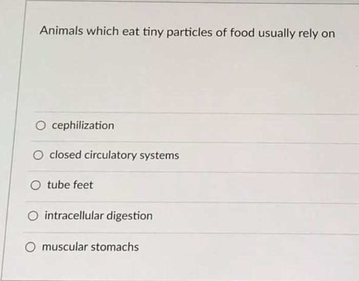 Solved Animals which eat tiny particles of food usually rely | Chegg.com