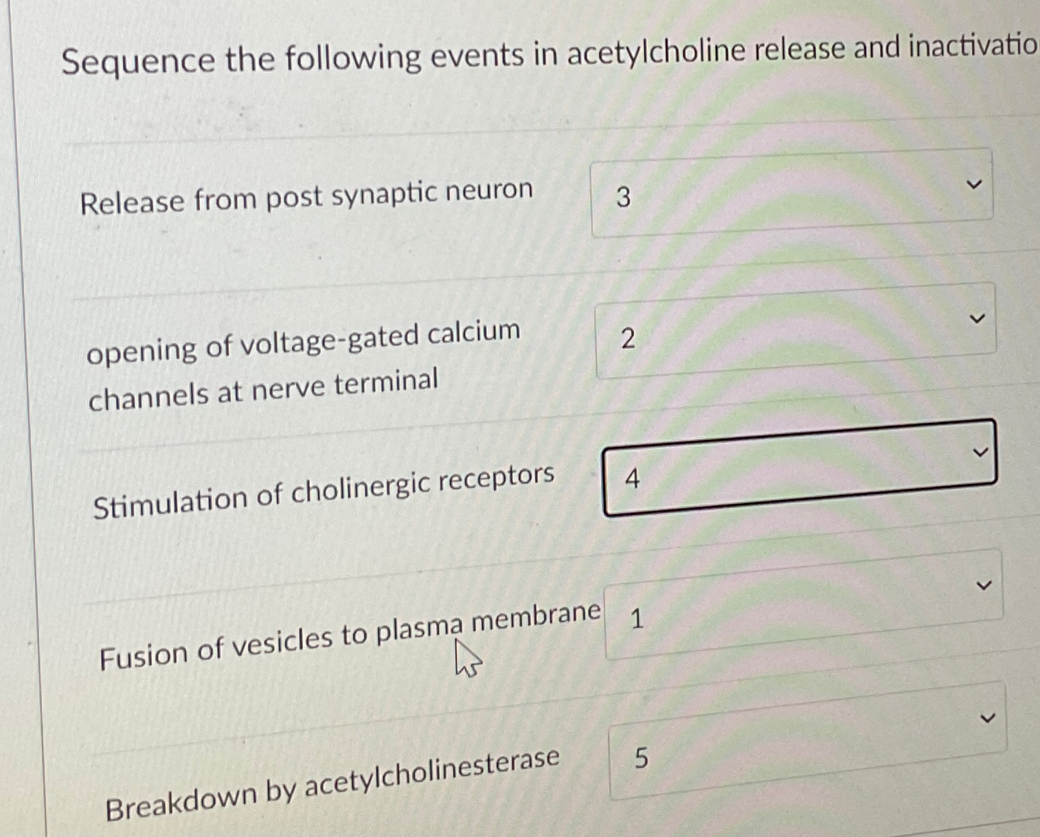 Solved Sequence the following events in acetylcholine | Chegg.com