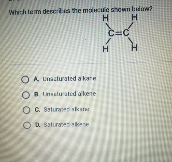 Which Describes The Molecule Shown Below Apex