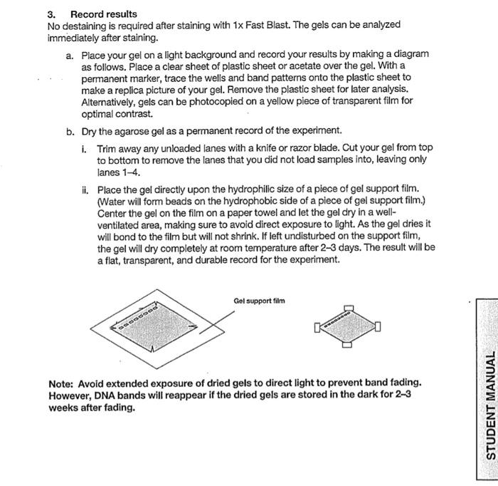 Solved Staining DNA with Fast Blast DNA Stain (Laboratory | Chegg.com