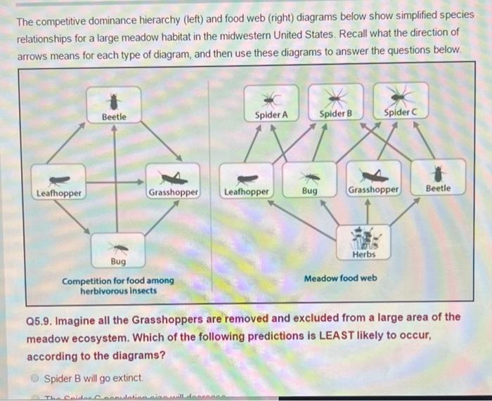 Solved The competitive dominance hierarchy (left) and food | Chegg.com