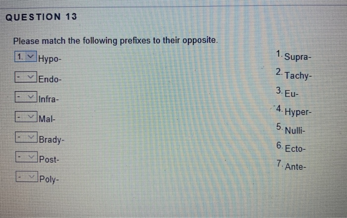 QUESTION 13 Please match the following prefixes to | Chegg.com