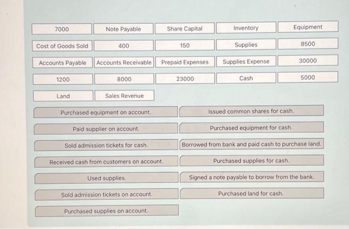 Solved The first eight transactions of Island Amusement Lid. | Chegg.com