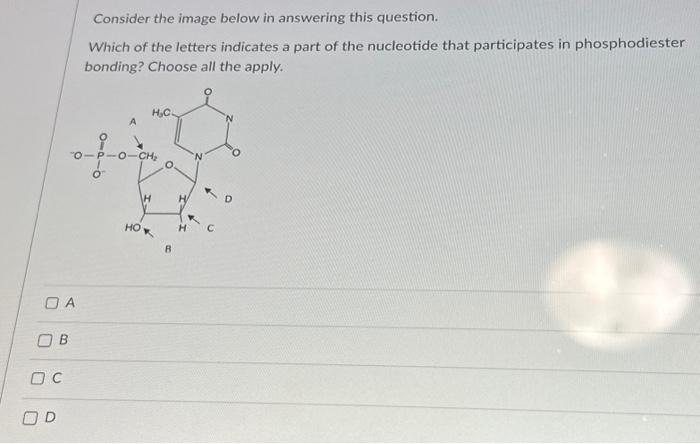 Solved Consider the image below in answering this question. | Chegg.com