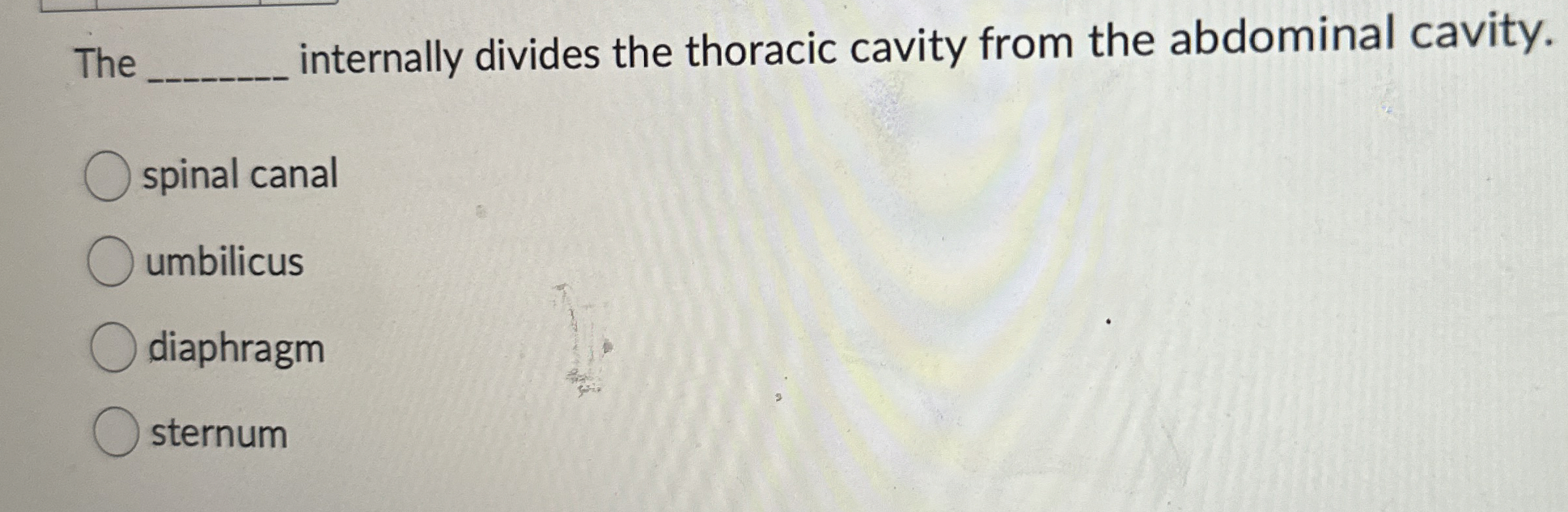 Solved The ﻿internally divides the thoracic cavity from | Chegg.com