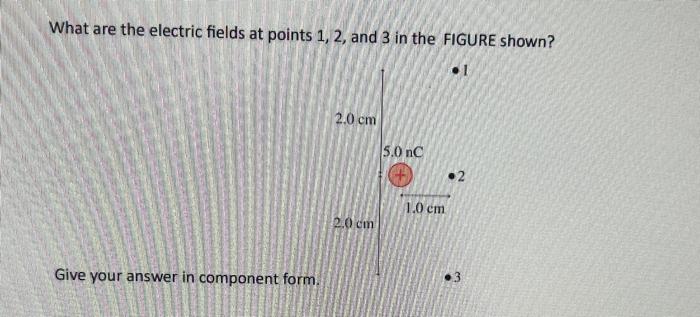 Solved What are the electric fields at points 1, 2, and 3 in | Chegg.com