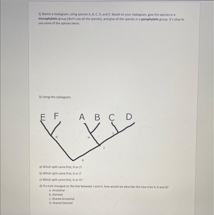 Solved 1) Based on the cladogram presented below: a) wvat | Chegg.com