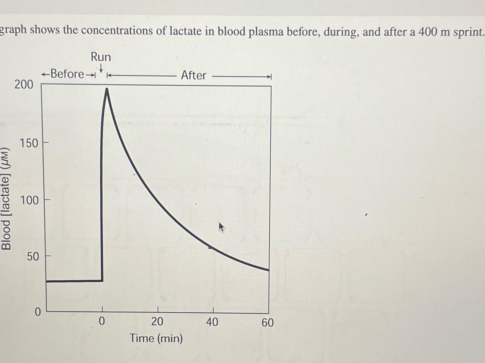 Solved The graph shows the concentrations of lactate in | Chegg.com