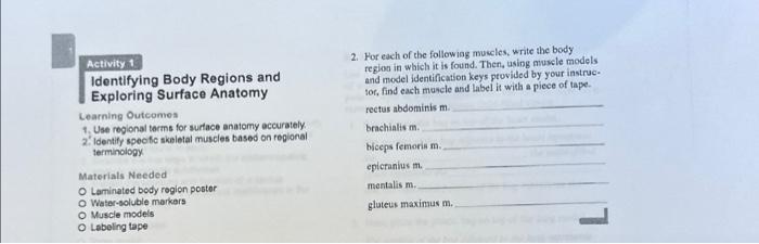 Solved Activity 1 Identifying Body Regions and Exploring | Chegg.com