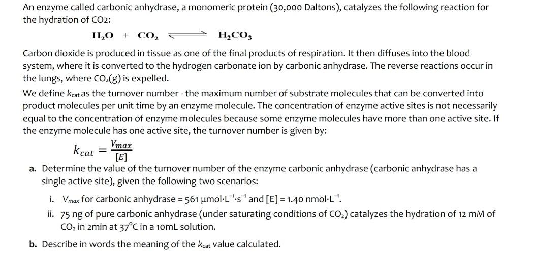Solved An enzyme called carbonic anhydrase, a monomeric | Chegg.com