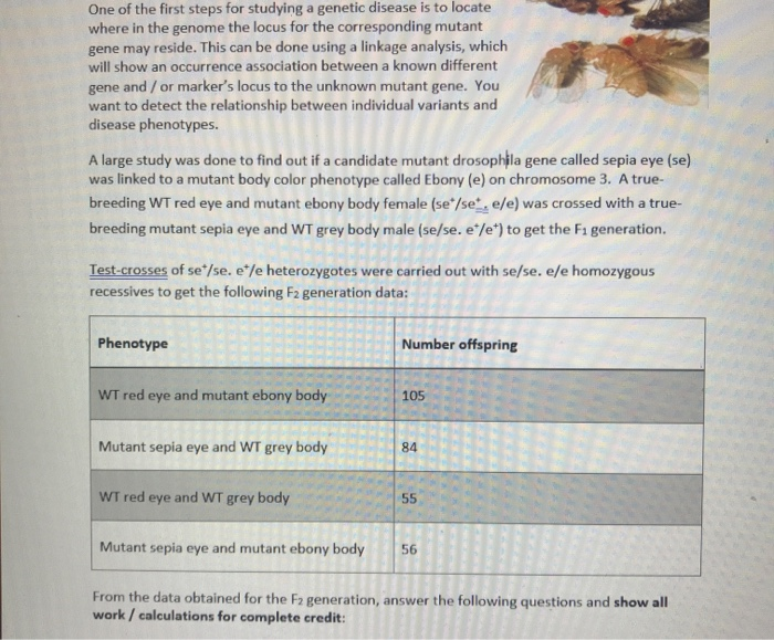 Solved Two-point test cross problem -- please answer a-e | Chegg.com