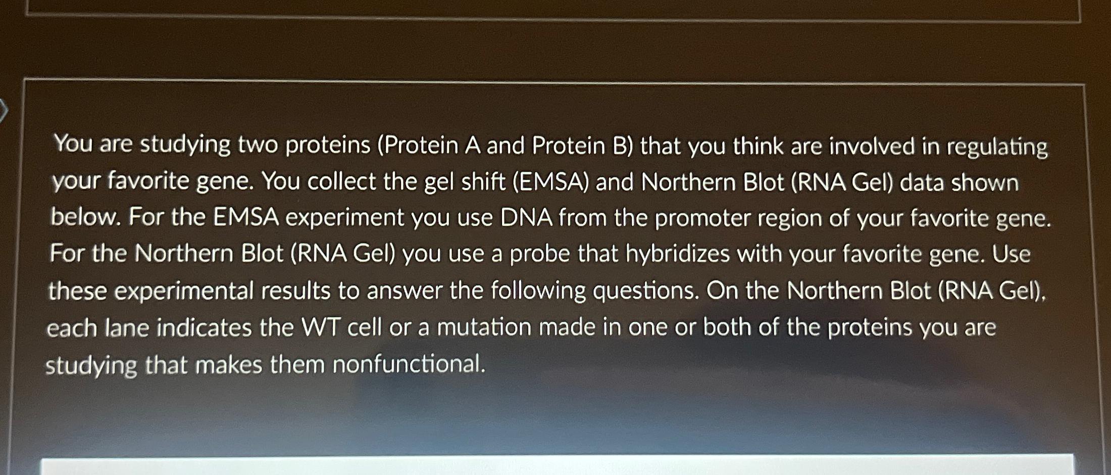 Solved You are studying two proteins (Protein A and Protein | Chegg.com