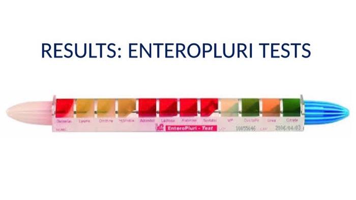 RESULTS: ENTEROPLURI TESTS!!!!!!Unknown 1 Gas and | Chegg.com