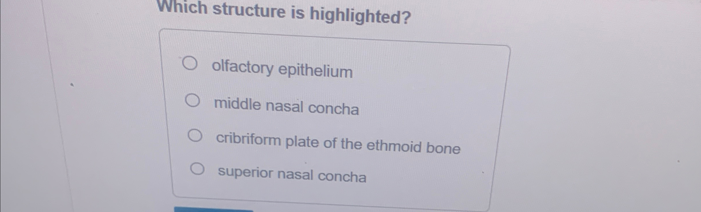 Solved Which structure is highlighted?olfactory | Chegg.com