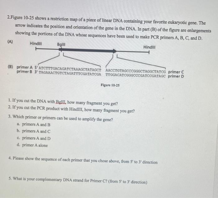 Solved 2. Figure 10-25 shows a restriction map of a piece of | Chegg.com