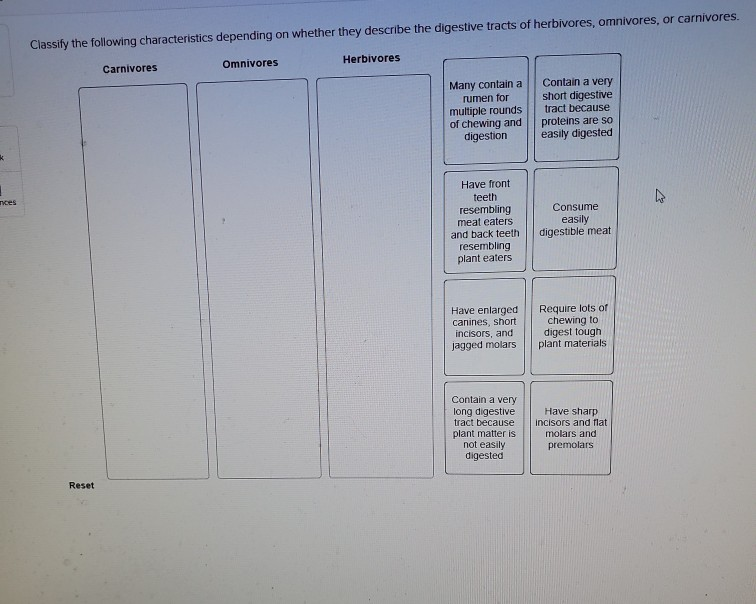 Solved Classify the following characteristics depending on | Chegg.com