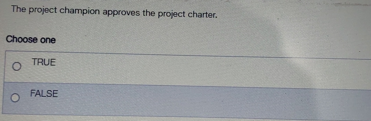 Solved The project champion approves the project | Chegg.com