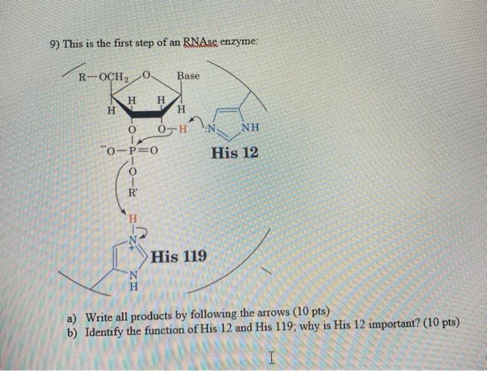 Solved 9) This is the first step of an RNAse enzyme: R-Och, | Chegg.com